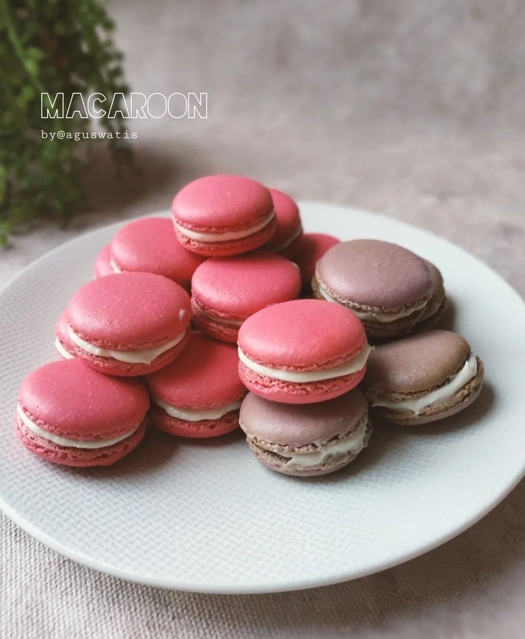 Resep Assorted Macaroon dari @aguswatis